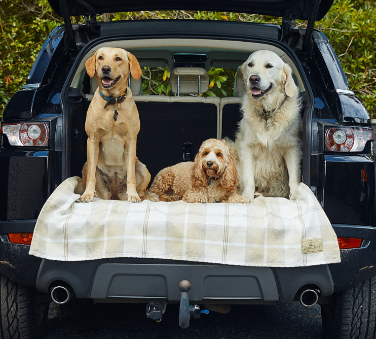 Luxury Dog Beds and Dog Throws UK | Onyourbed